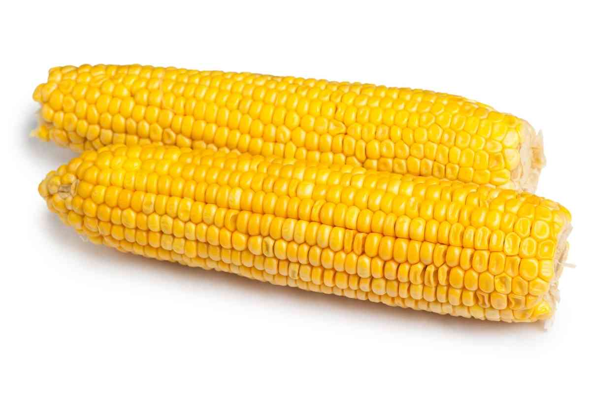 Where to Buy Fresh Corn on the Cob Near Me?