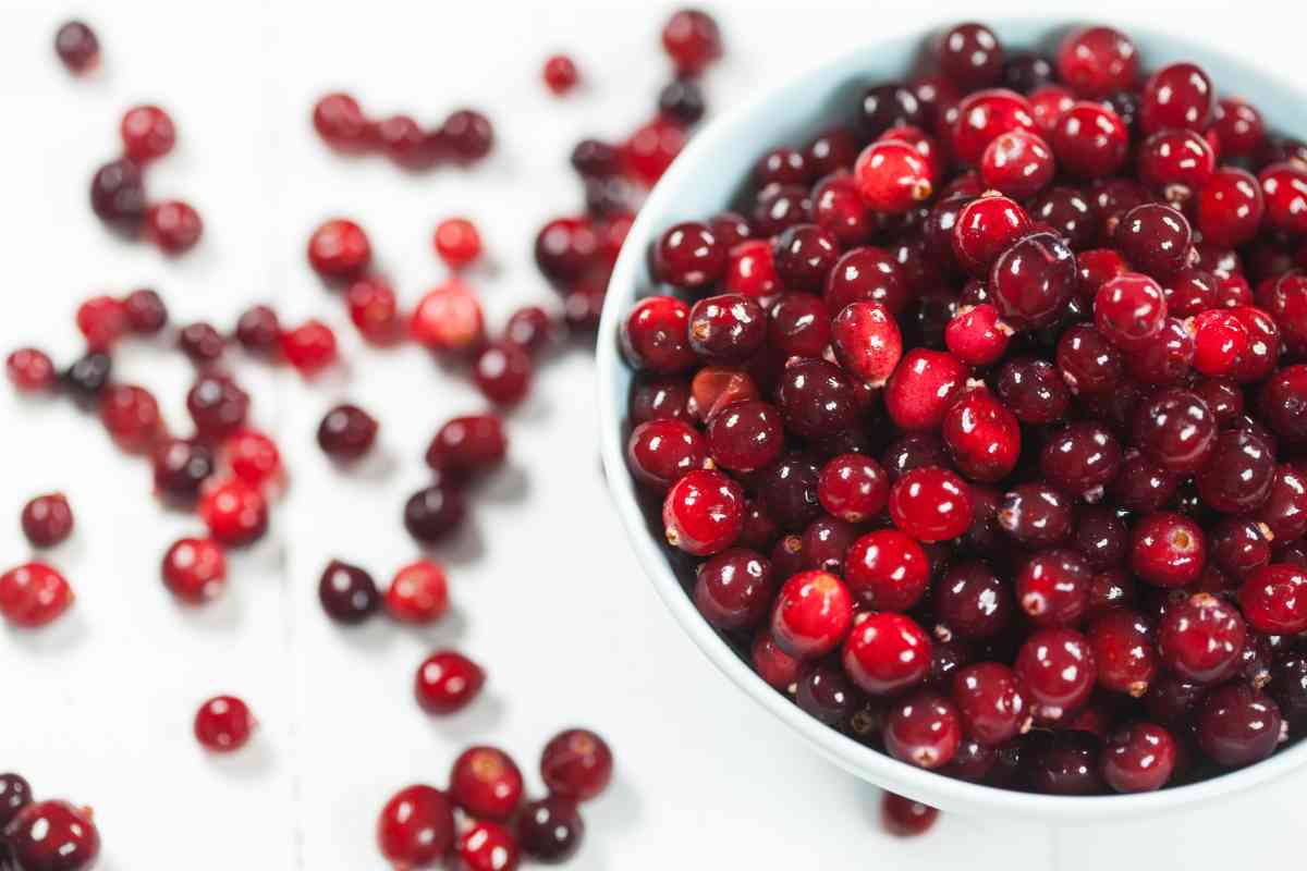 Where to Find Cranberries in Grocery Stores